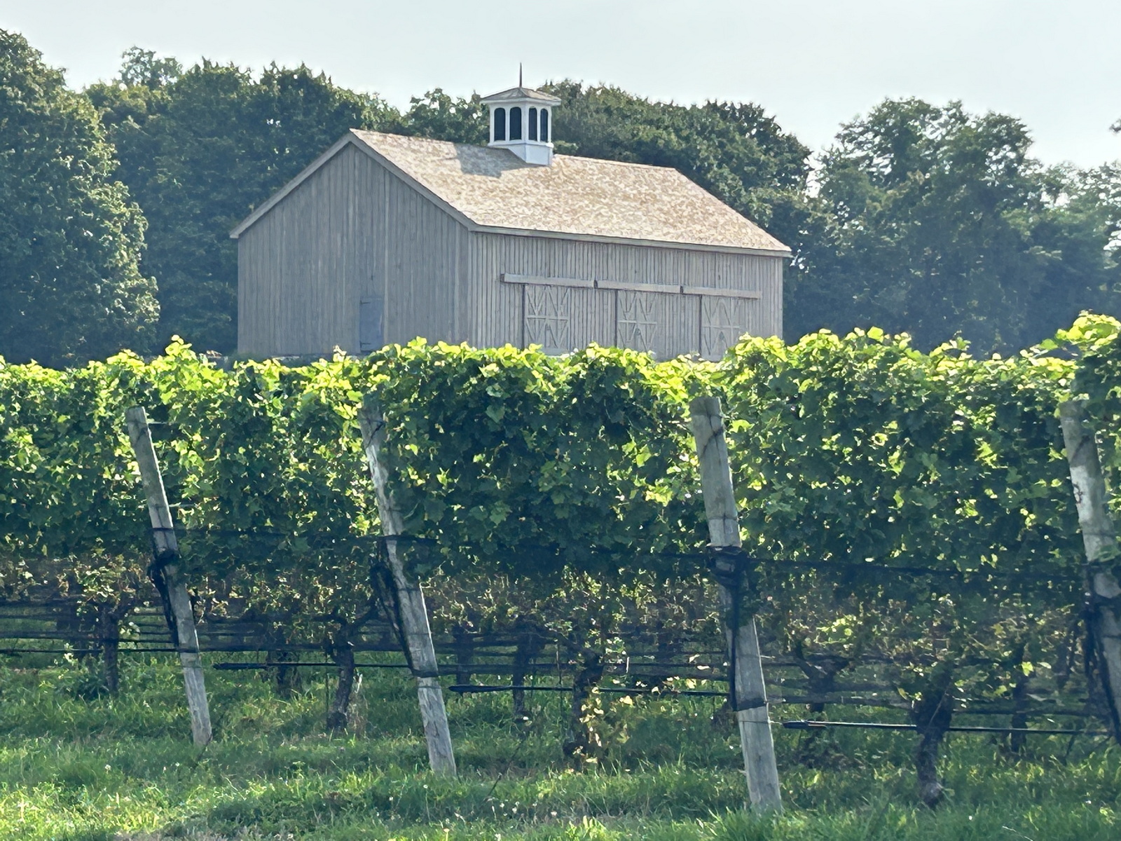 North Fork Scavenger Hunts Home - North Fork Scavenger Hunts